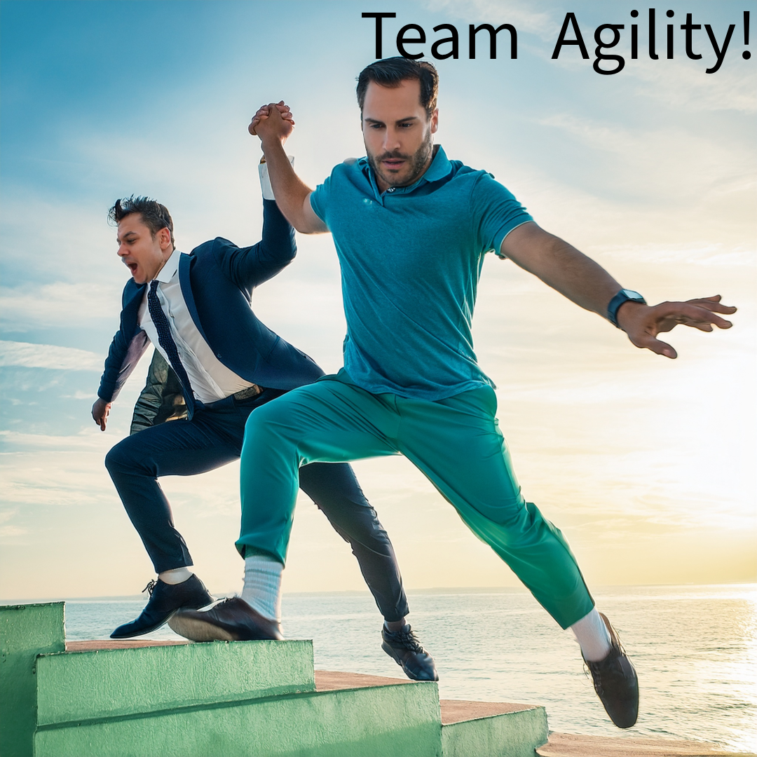 Agile Leadership for Team Success
