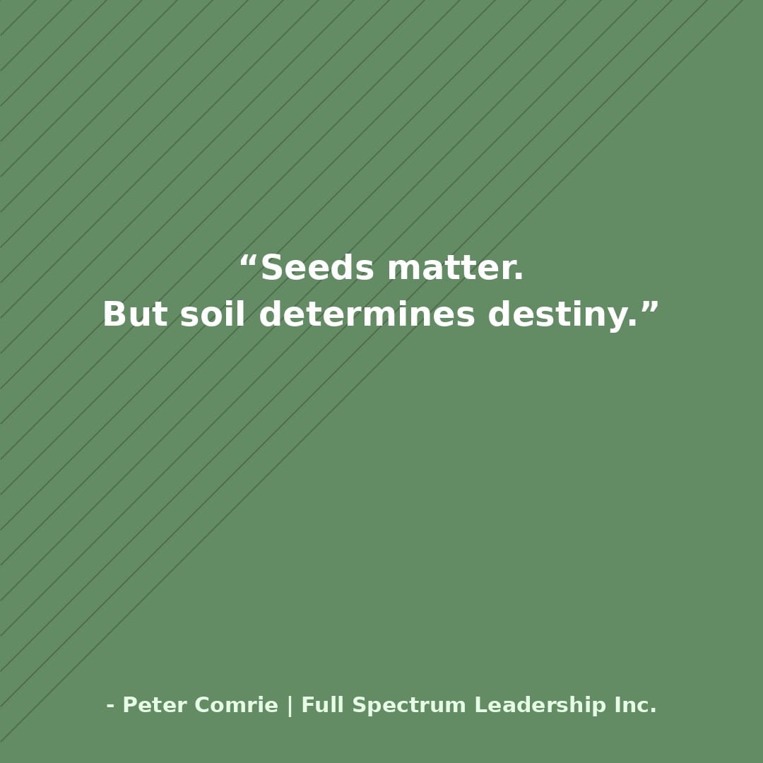 The Soil Matters: Leadership, Trust, and Growth